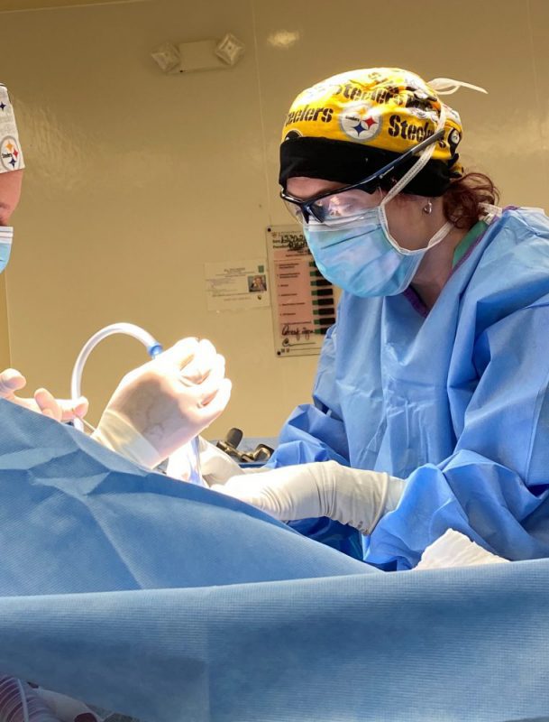 CapNY: Healthcare Professionals Taking the Lead - St. Peter's Health ...