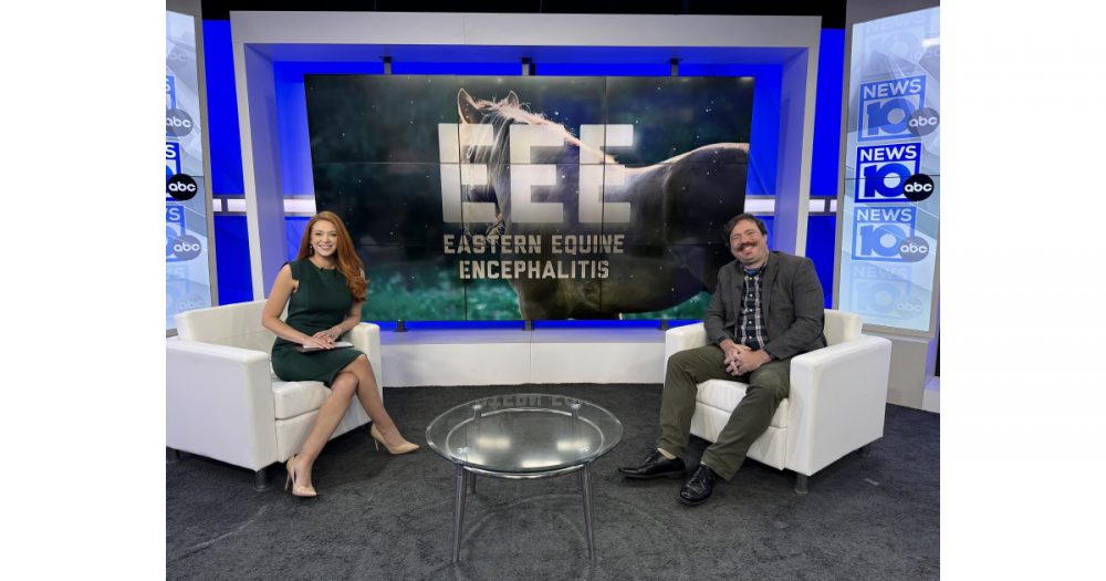 WTEN: Eastern Equine Encephalitis (EEE) in the Capital Region for ...